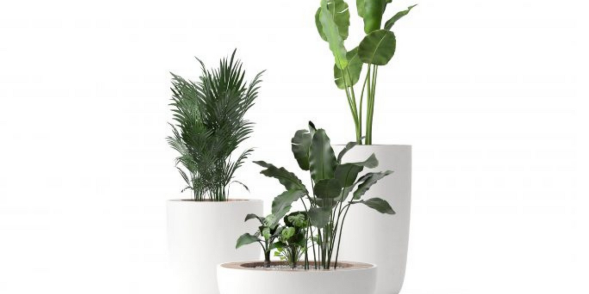 Lid Planters – Outerspace